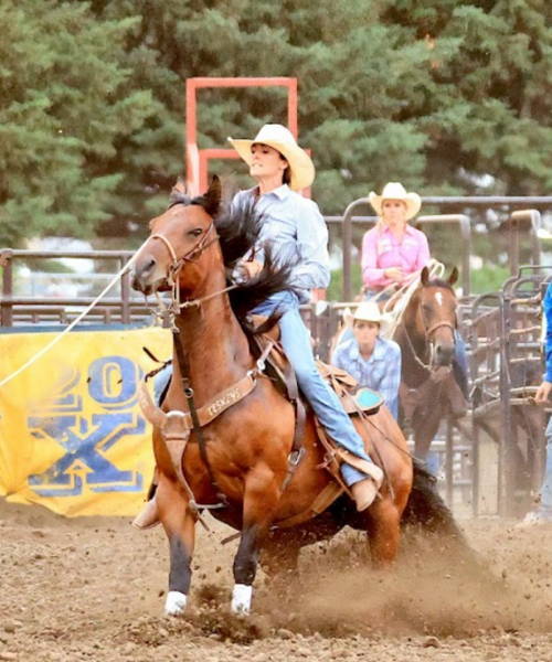 NFR qualifier Joey Williams makes it all work